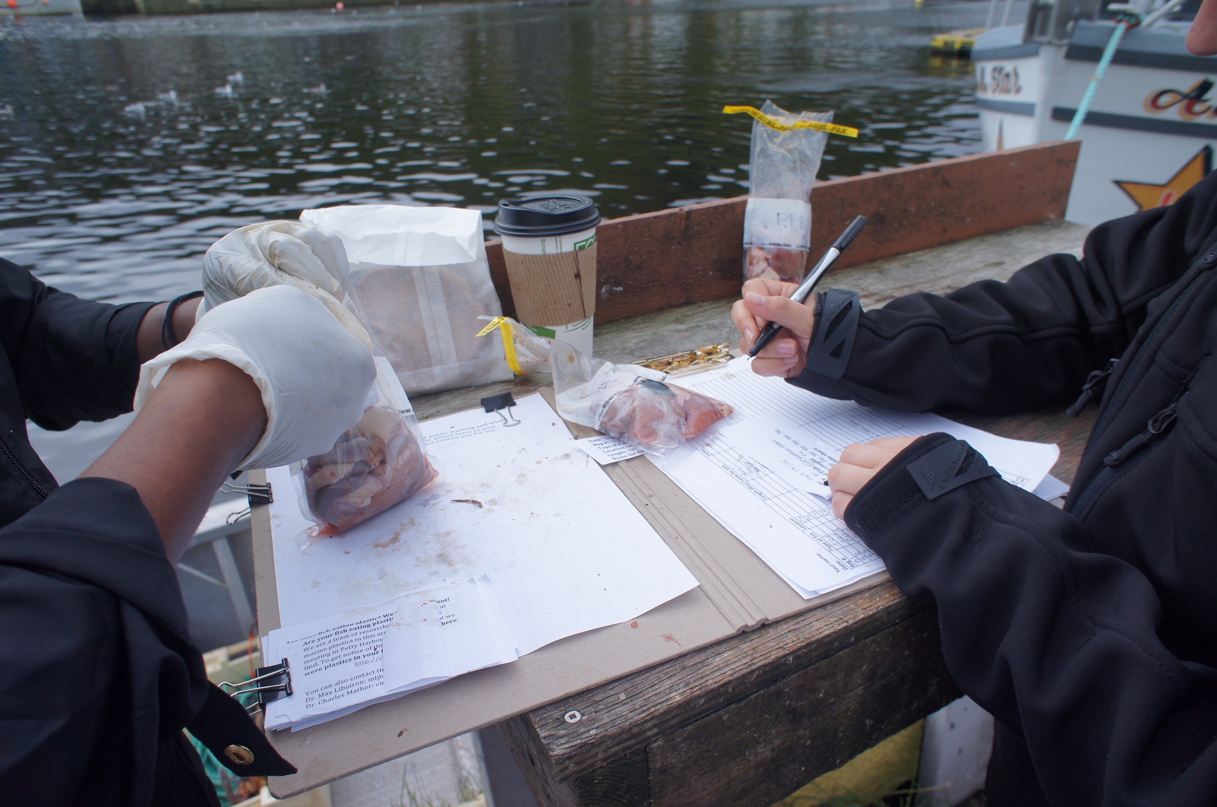 How to collect guts for science - CLEAR - Civic Laboratory for ...