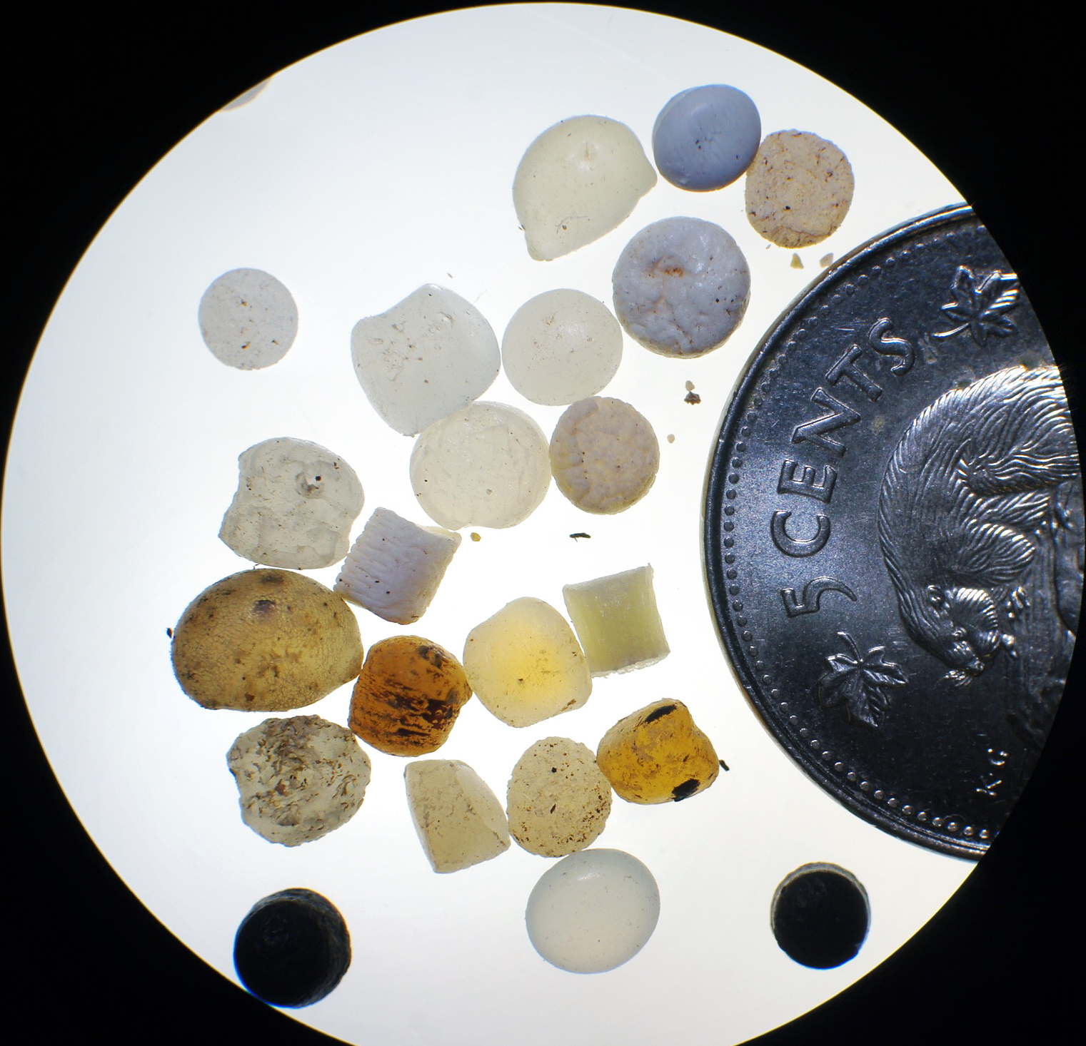 DIY Microplastic forensics