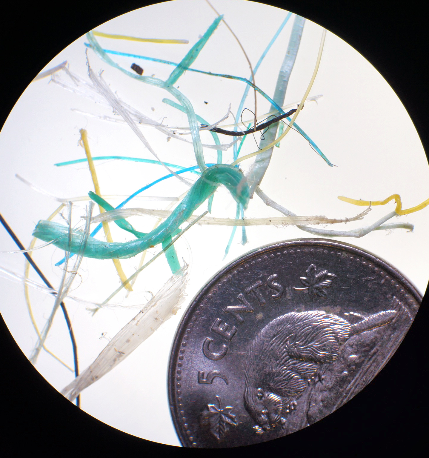 DIY Microplastic forensics